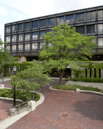 Support Cornell Economics on Giving Day | Department of Economics